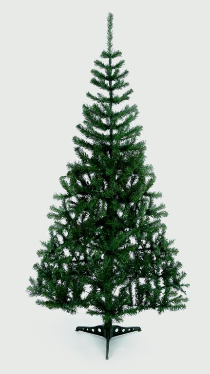 Green Cedar Fir Tree – Urban Home Range
